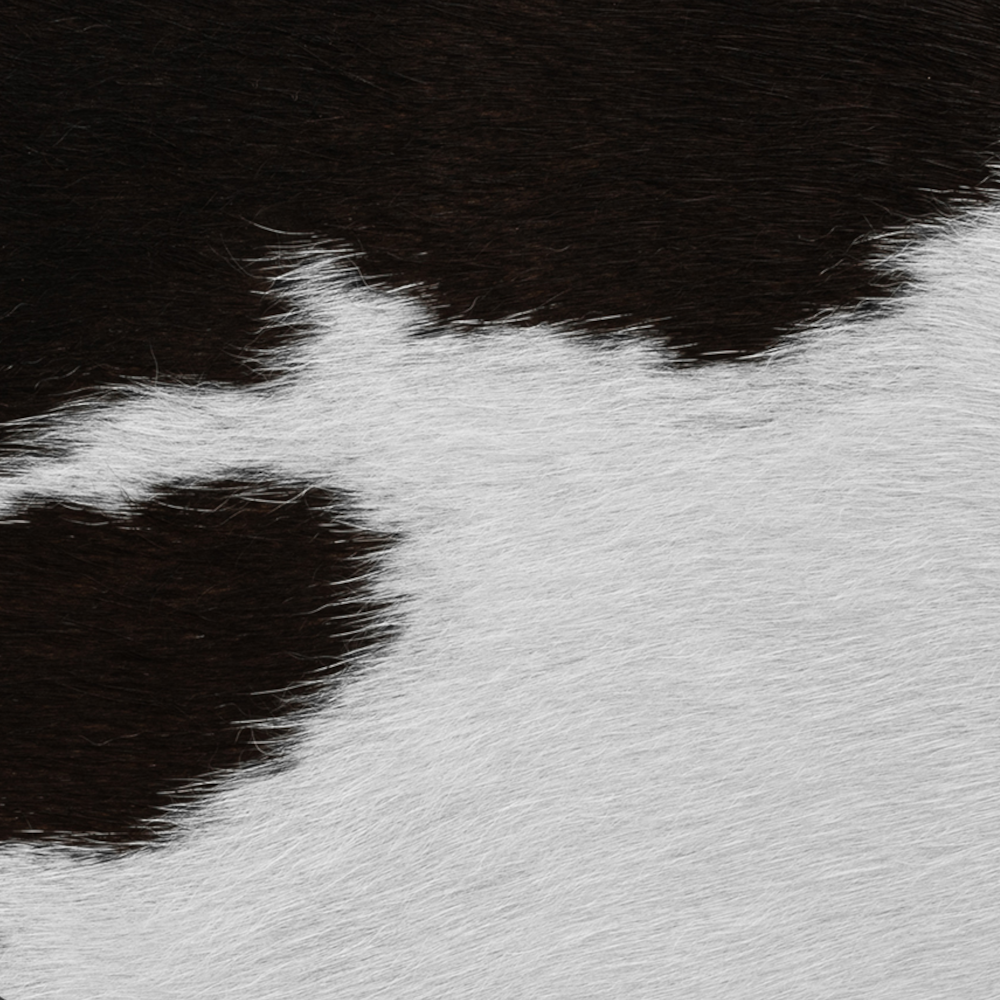 Black/White Cowhide | Interior Icons